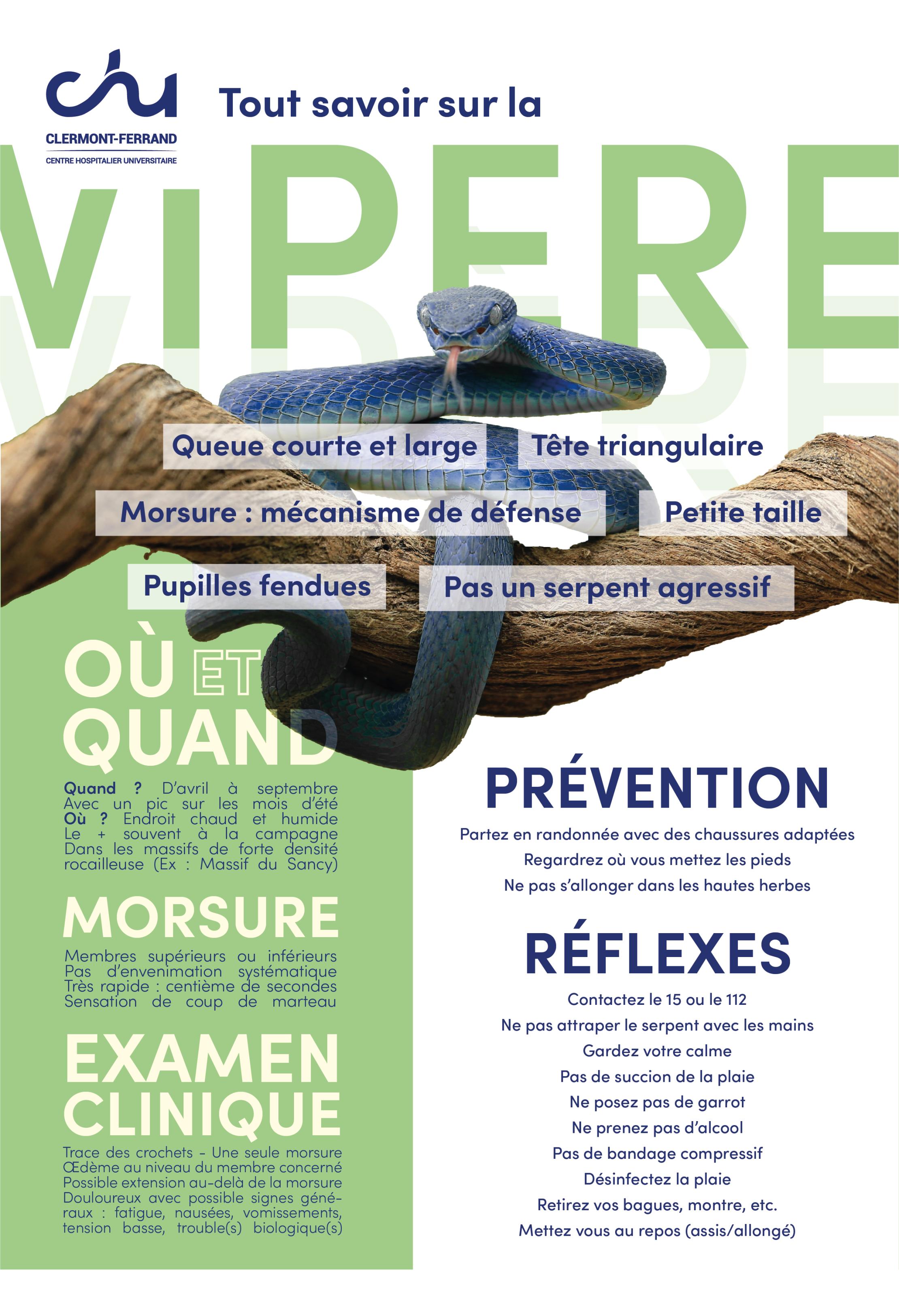 Prévention | Tout savoir sur la vipère | CHU clermont-ferrand