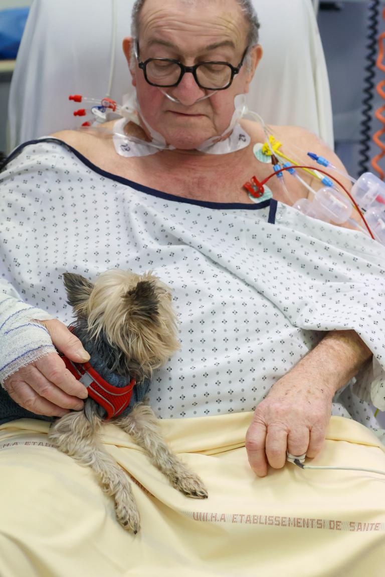 The University Hospital is launching PET ICU, a groundbreaking clinical ...