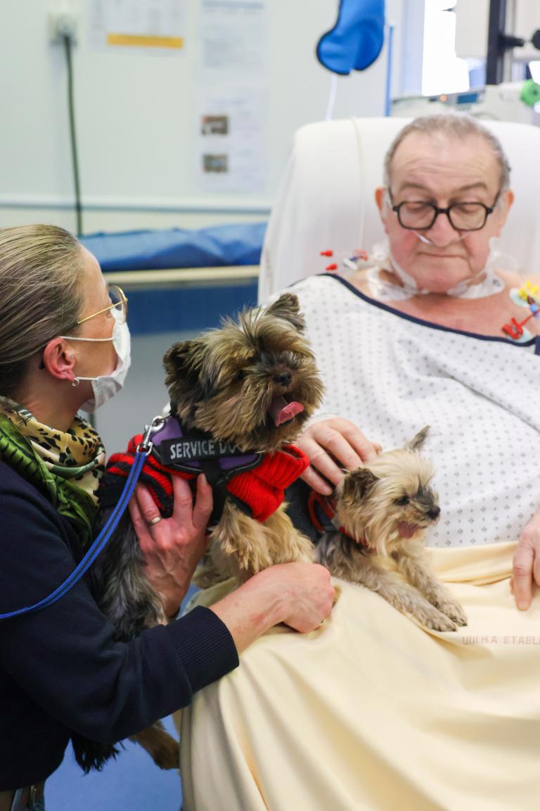 The University Hospital is launching an unprecedented clinical study ...